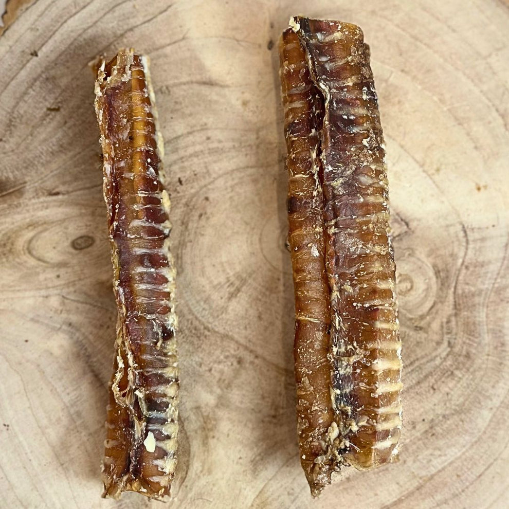 Beef Trachea 24cm – Complete Raw Pet Store